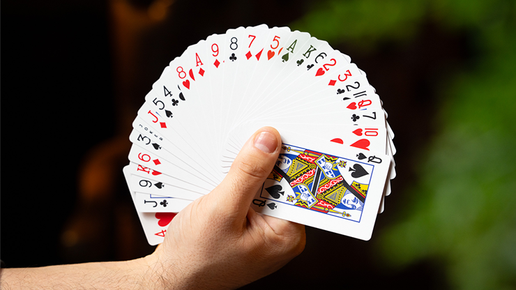 SVENGALI DECK (Gimmicks and Instructions) by Apprentice Magic - Trick ...